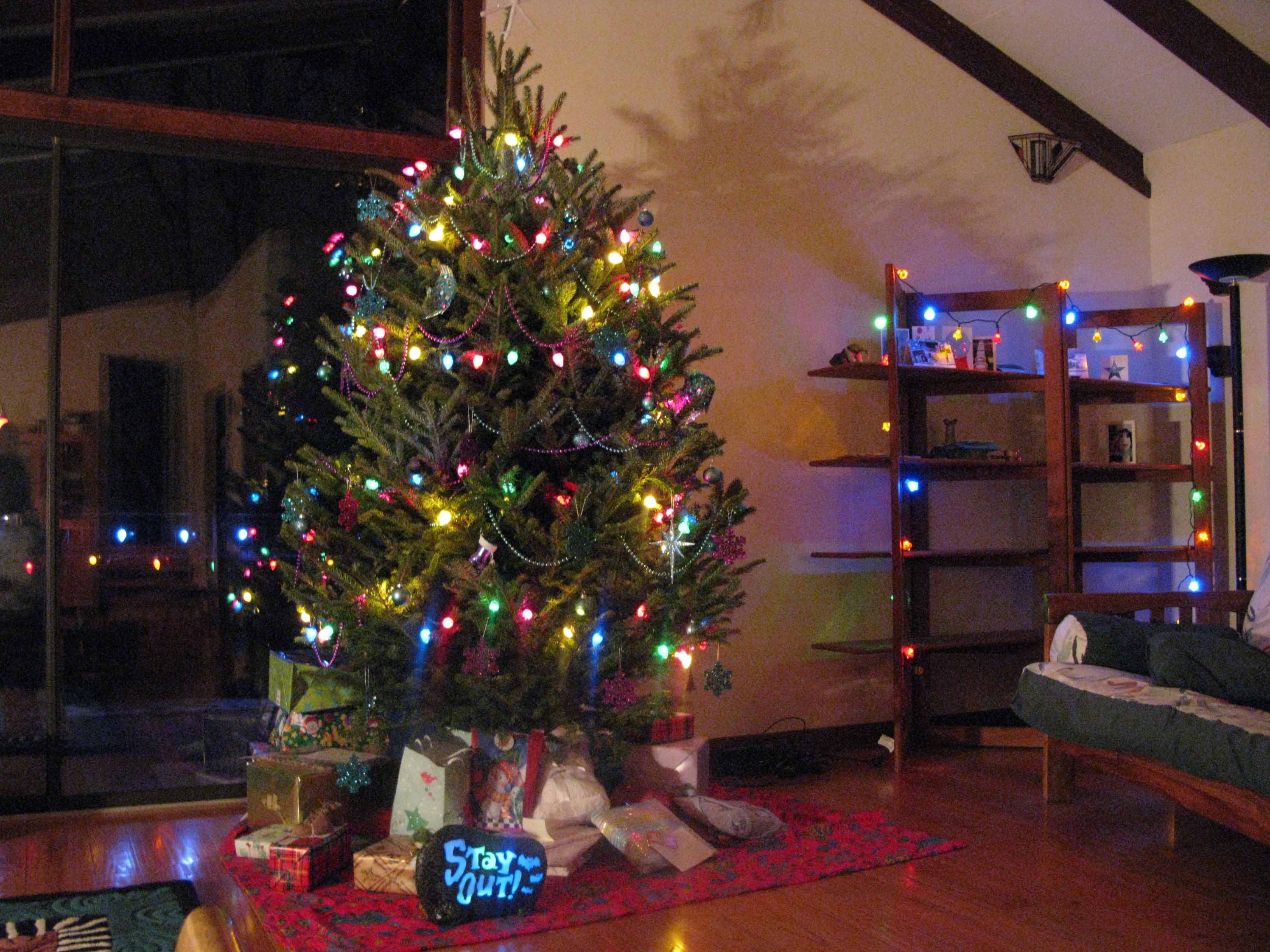 Christmas Tree Pics 01