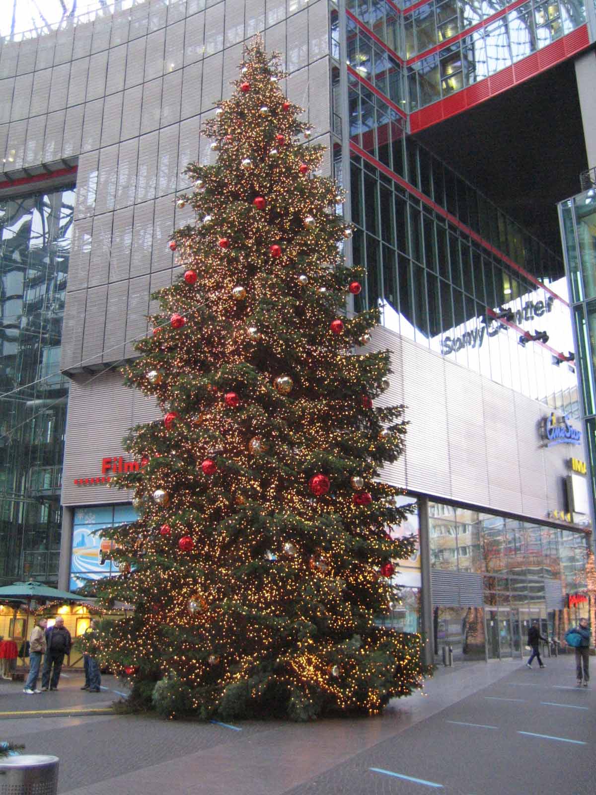 Christmas Tree Pics 01