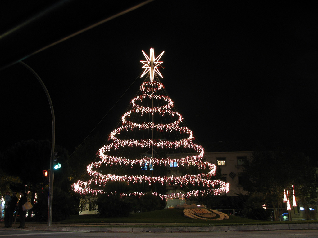 Christmas Tree Pics 02