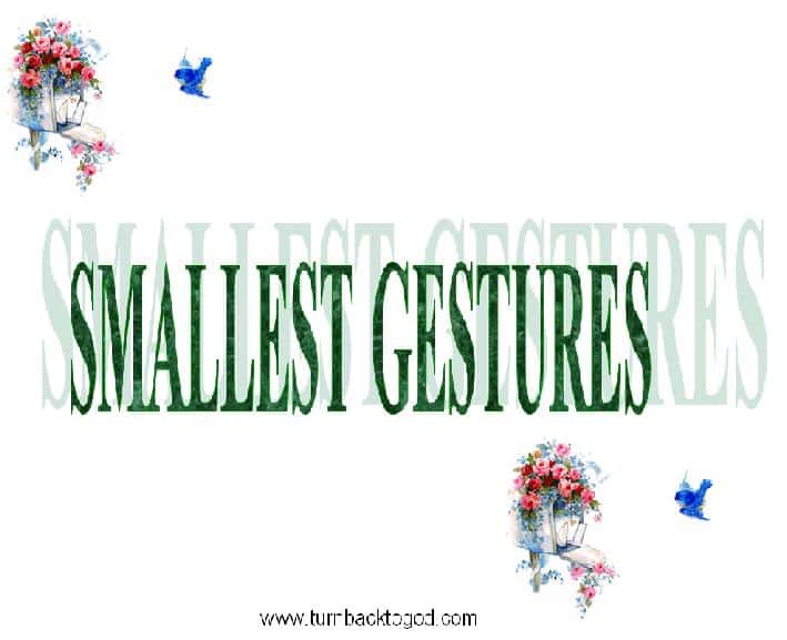 Slideshow Smallest Gestures