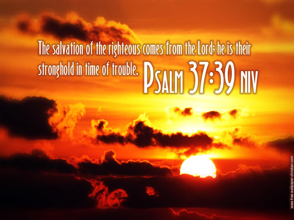 Psalm 37 Sunshine s Reflections Blog